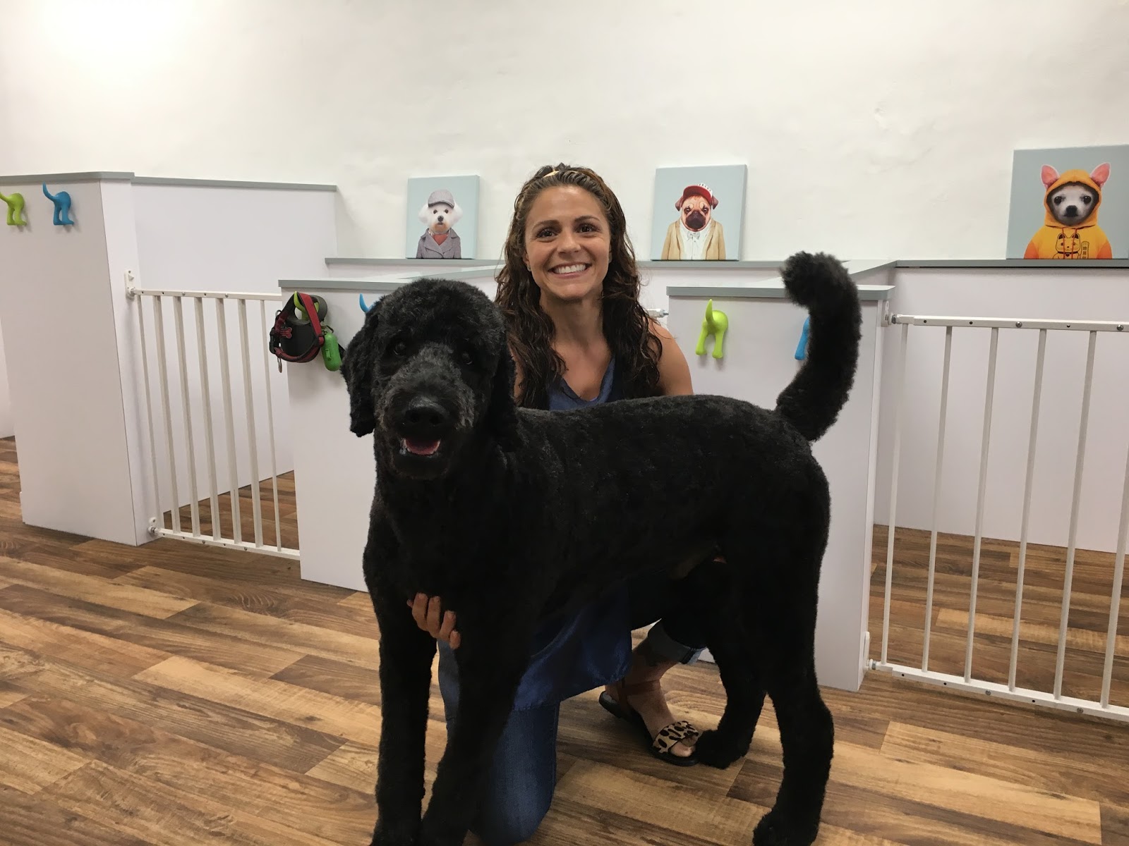 Home | The Bark Room - Service with Love