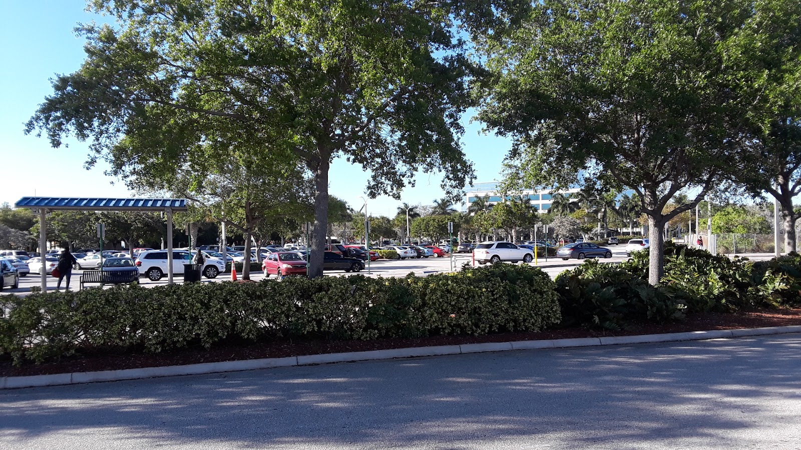 Boca Raton Tri-Rail Station - Boca Local Guide | Powered by Radius®
