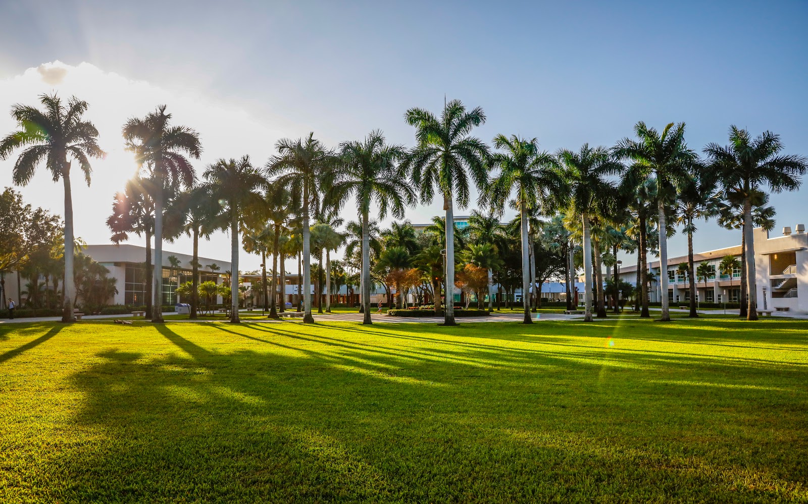 Charles E. Schmidt College of Science : Florida Atlantic University ... Charles E. Schmidt College of Science : Florida Atlantic University ...