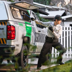 Boca Raton - Pompano Beach Pest Control & Exterminators | Terminix